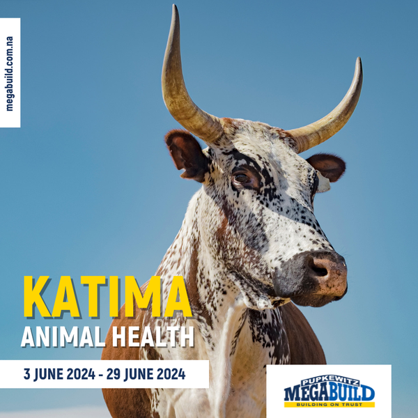 Promotions - Pupkewitz Megabuild