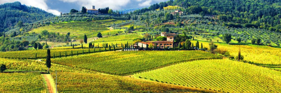 Walking in Tuscany, 5 or 8 days