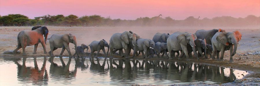 Northern Namibian Adventure Tour - Gondwana Collection